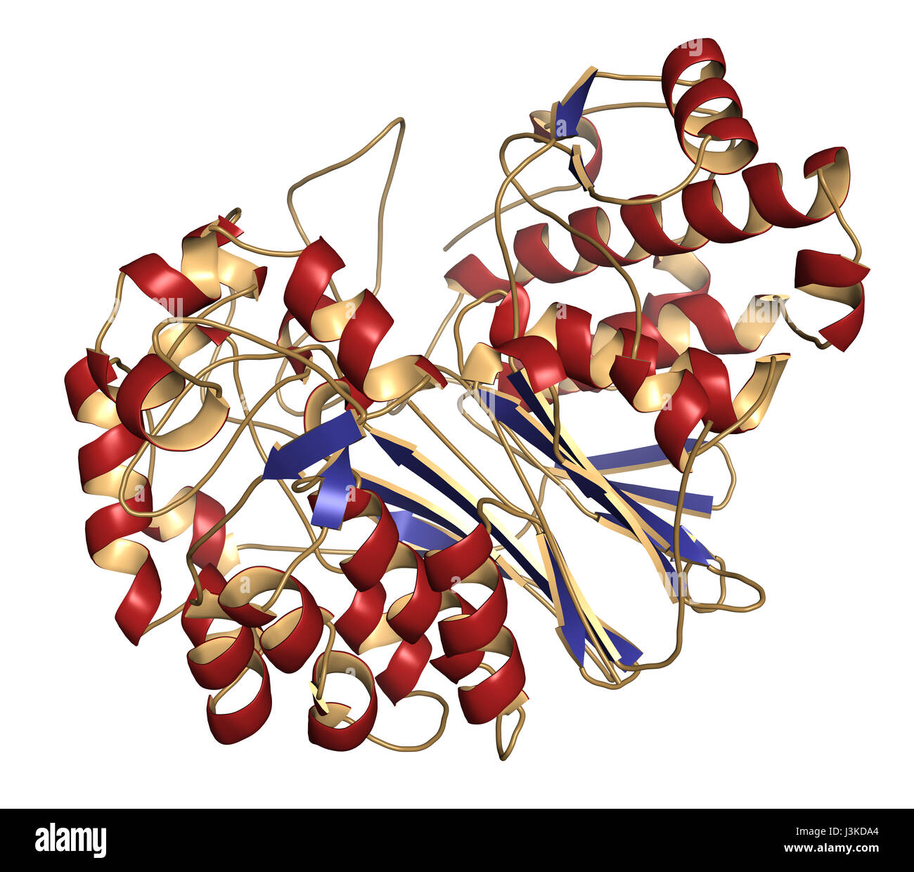 Transferase hi-res stock photography and images - Alamy