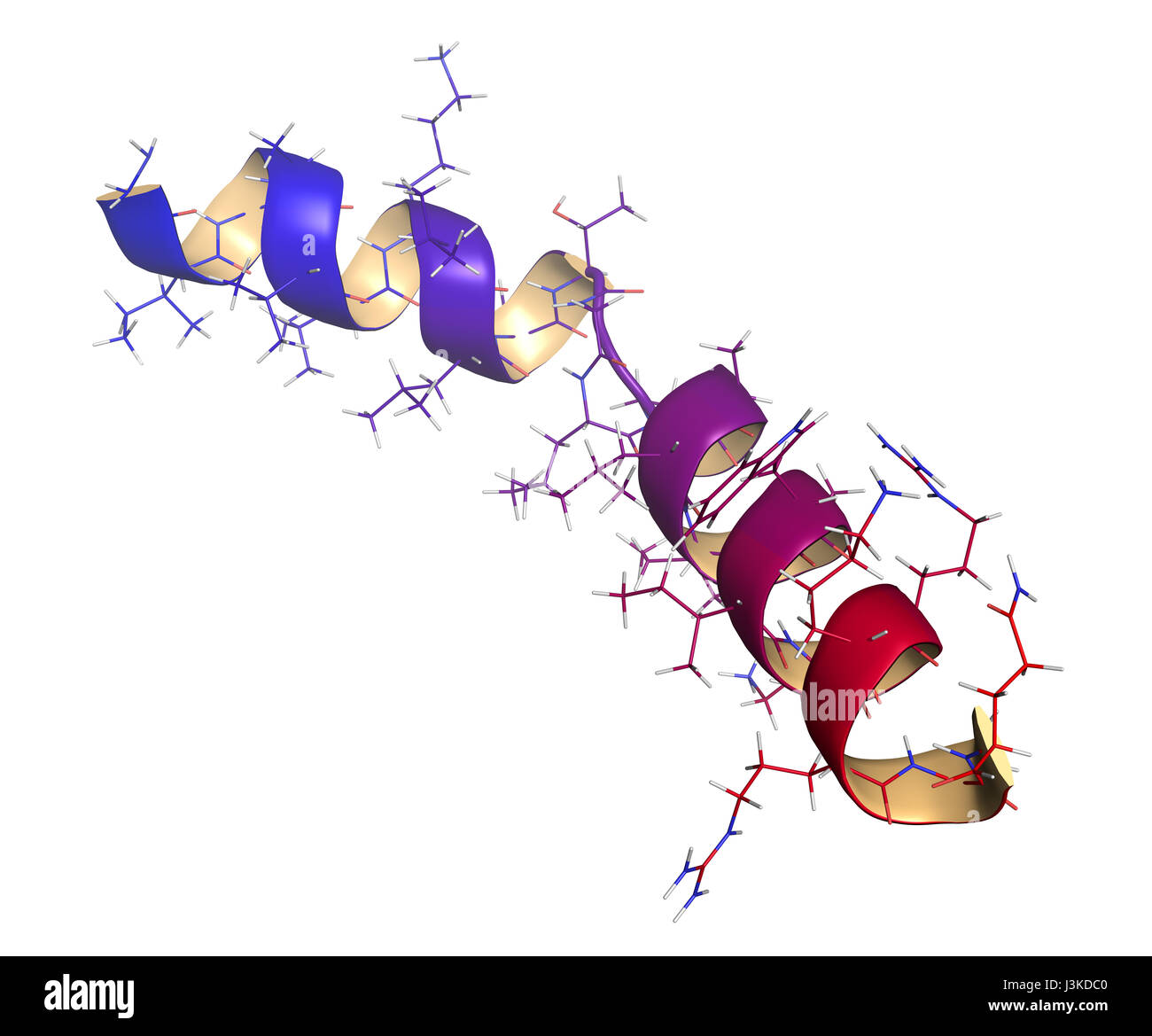 Melittin peptide toxin. Major component of apitoxin (honey bee venom ...