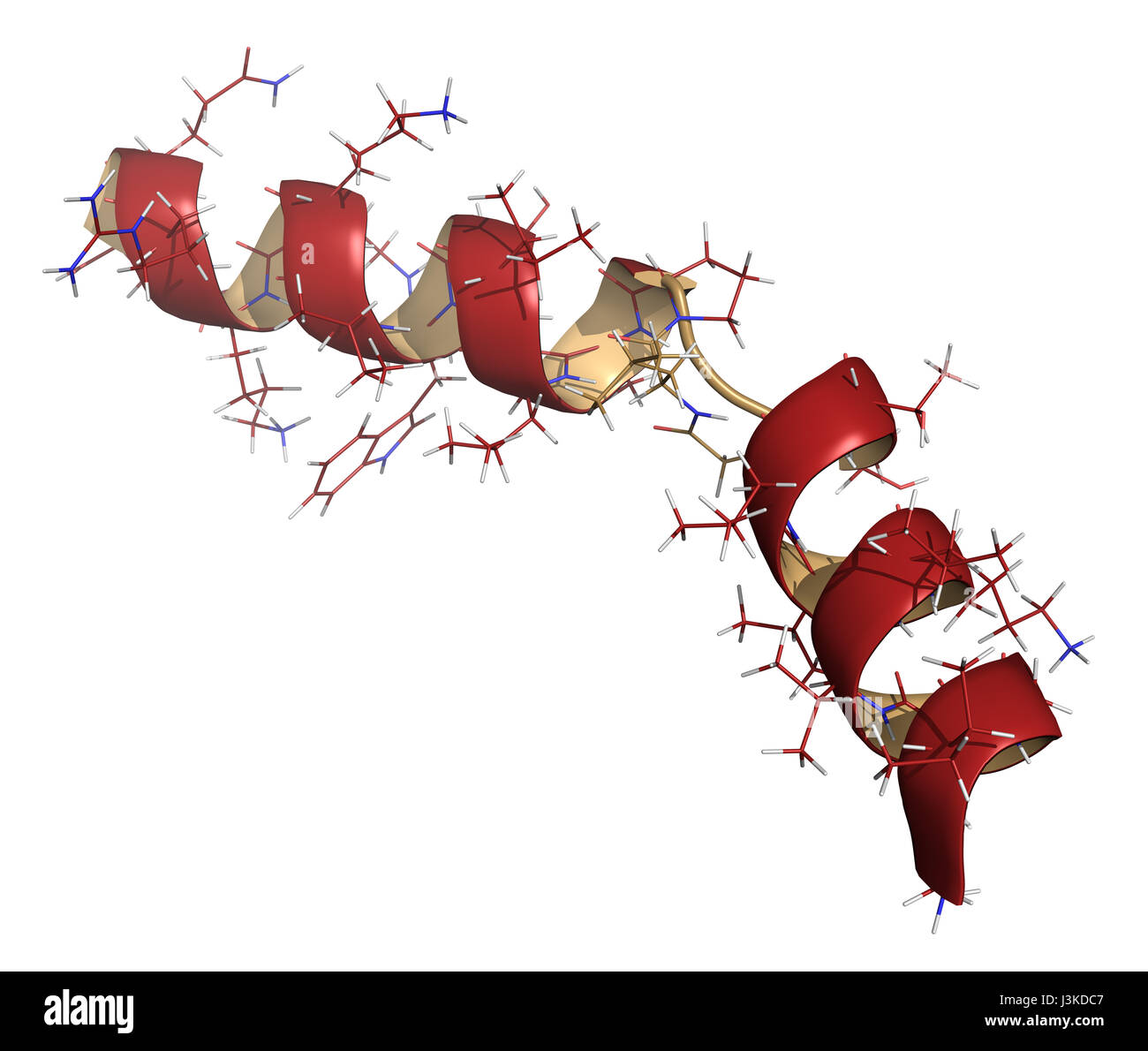 Melittin peptide toxin. Major component of apitoxin (honey bee venom ...