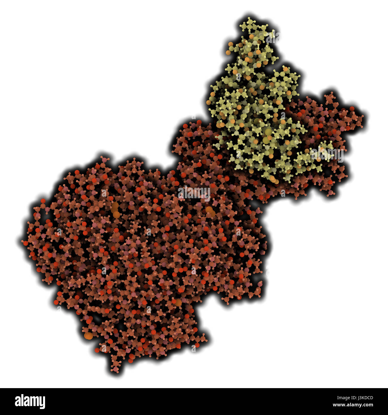 Hydrolysis of triglycerides hi-res stock photography and images - Alamy