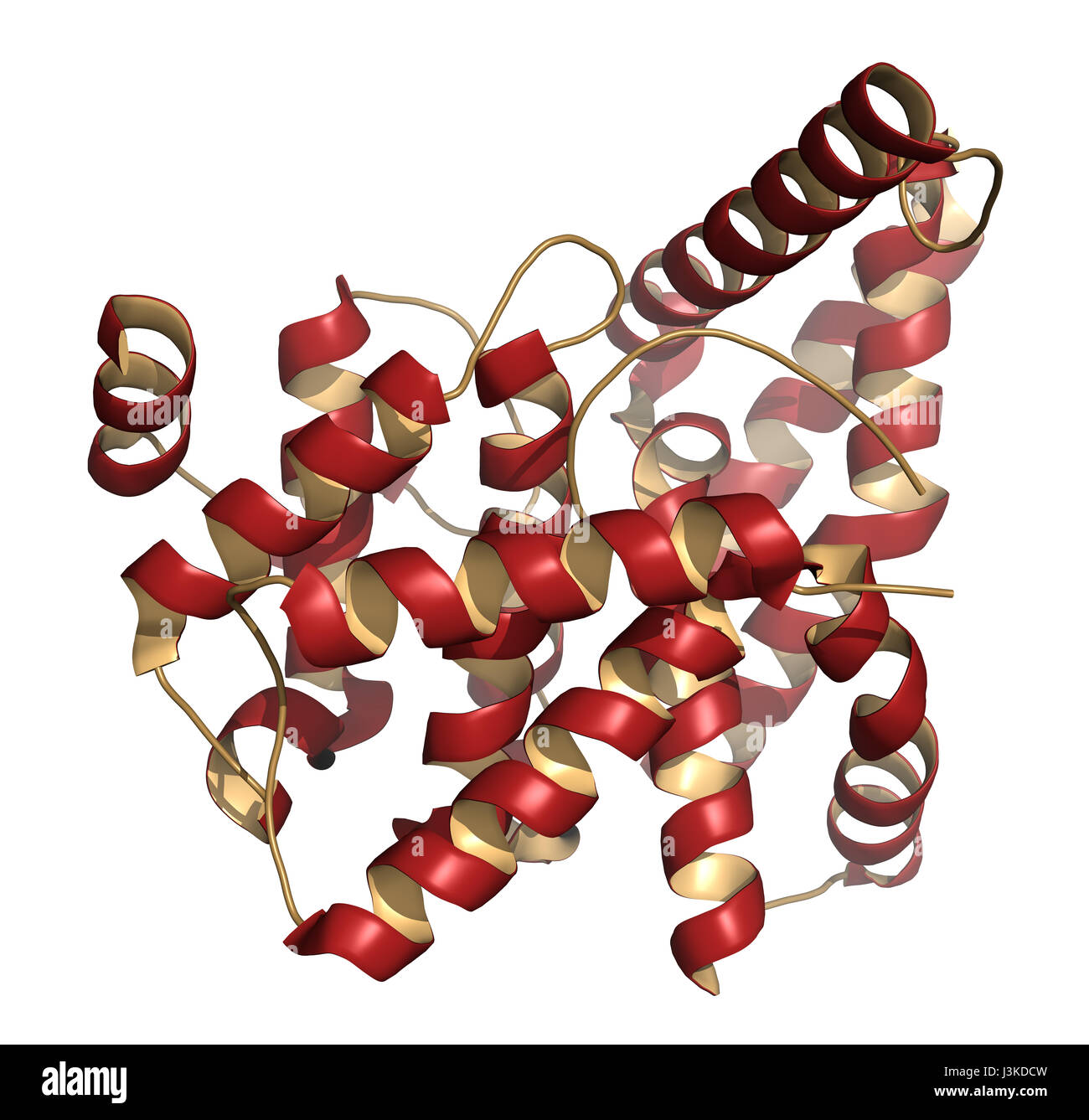 Sildenafil Mechanism