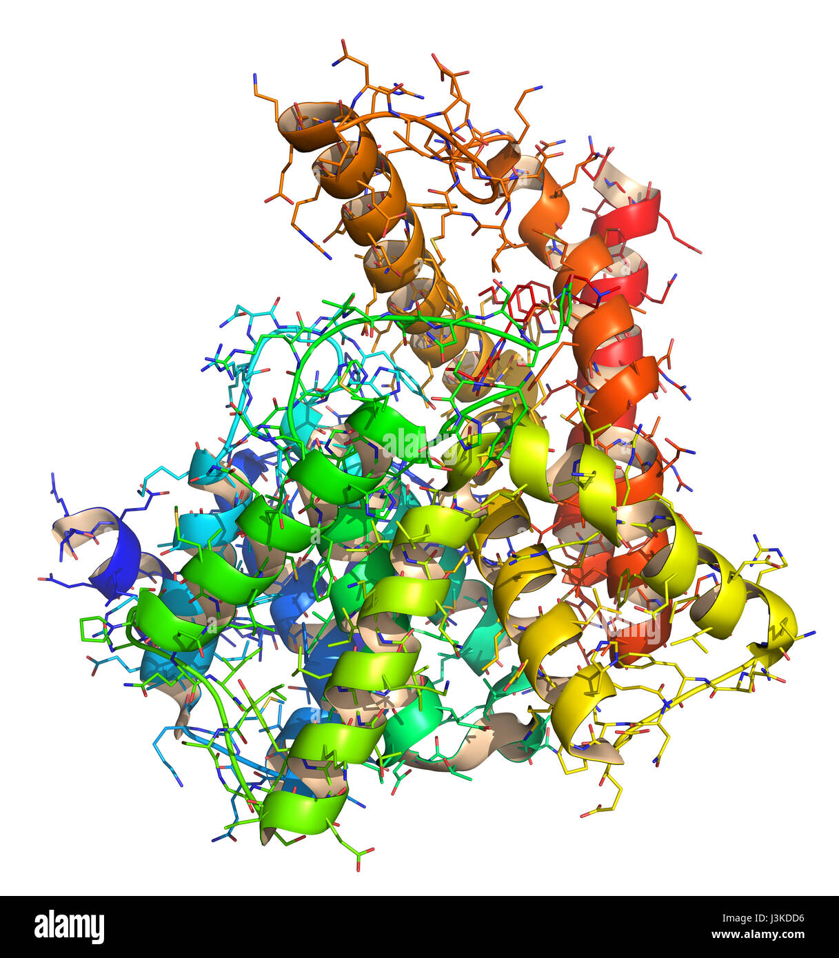 Phosphodiesterase 5 (PDE5) enzyme. Inhibition of this enzyme is the mechanism of action of ...