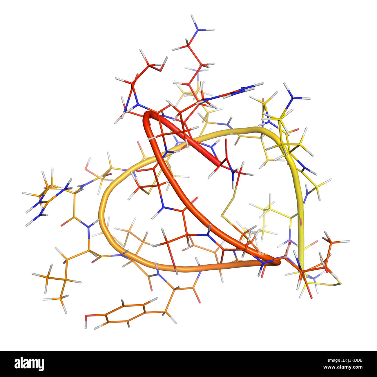 Ziconotide pain drug molecule. Synthetic form of omega conotoxin from ...