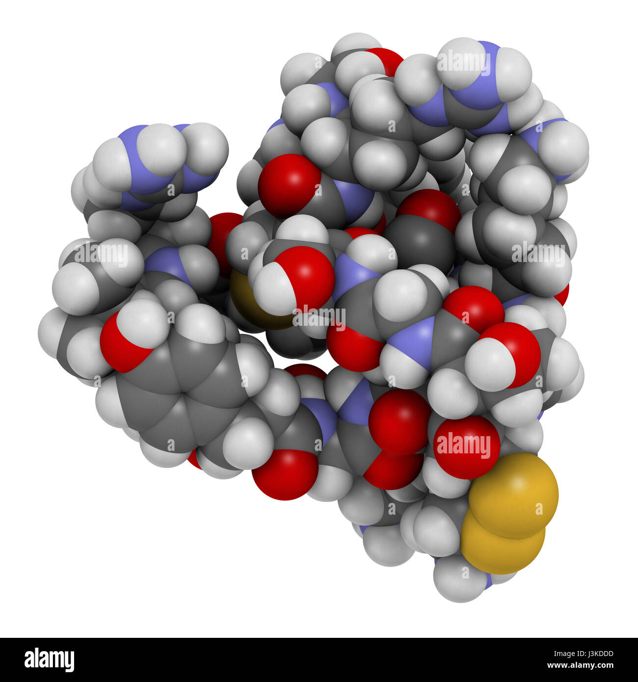 Ziconotide pain drug molecule. Synthetic form of omega conotoxin from ...