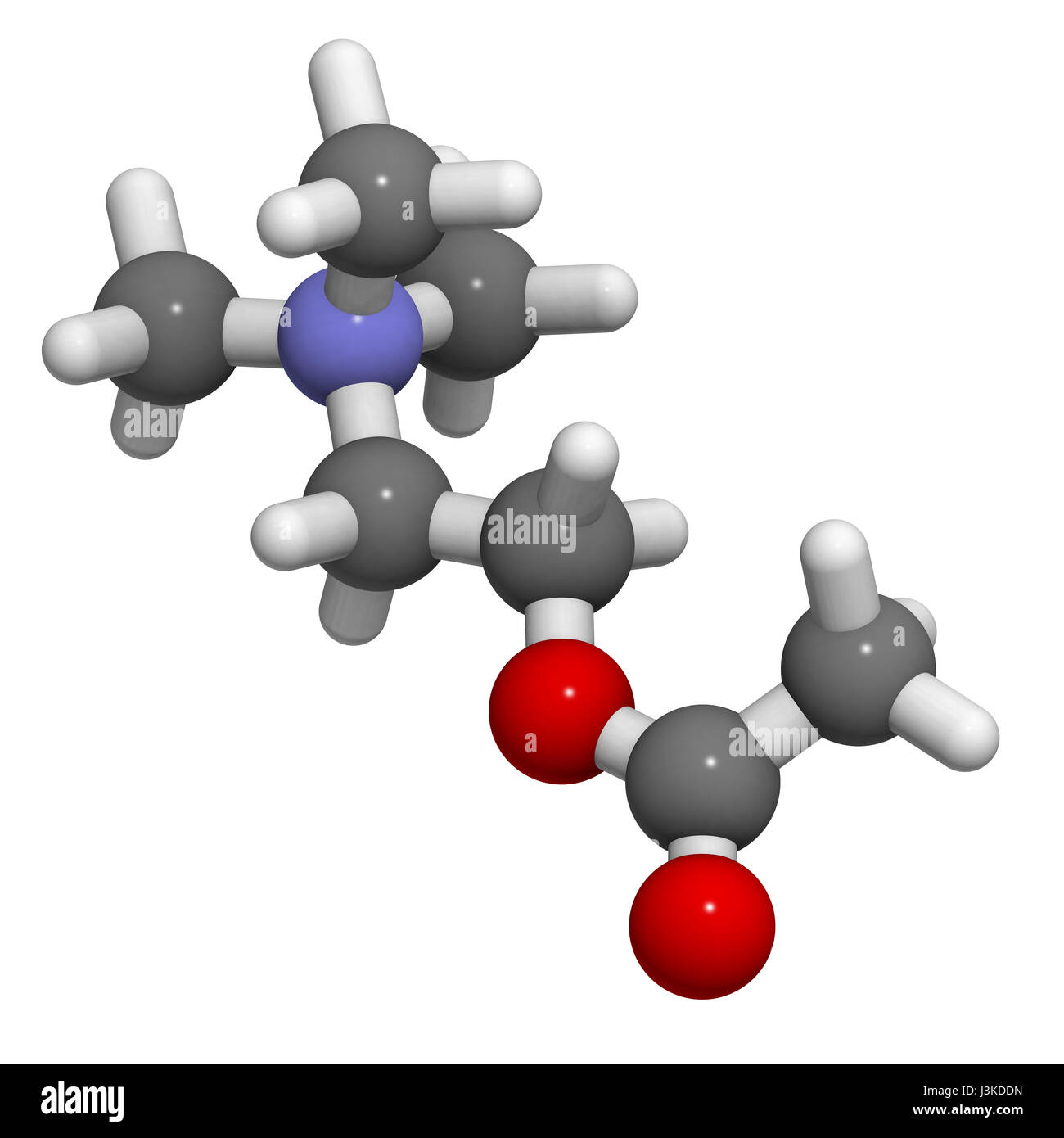 Acetylcholine (ACh) neurotransmitter, molecular model. Atoms are ...