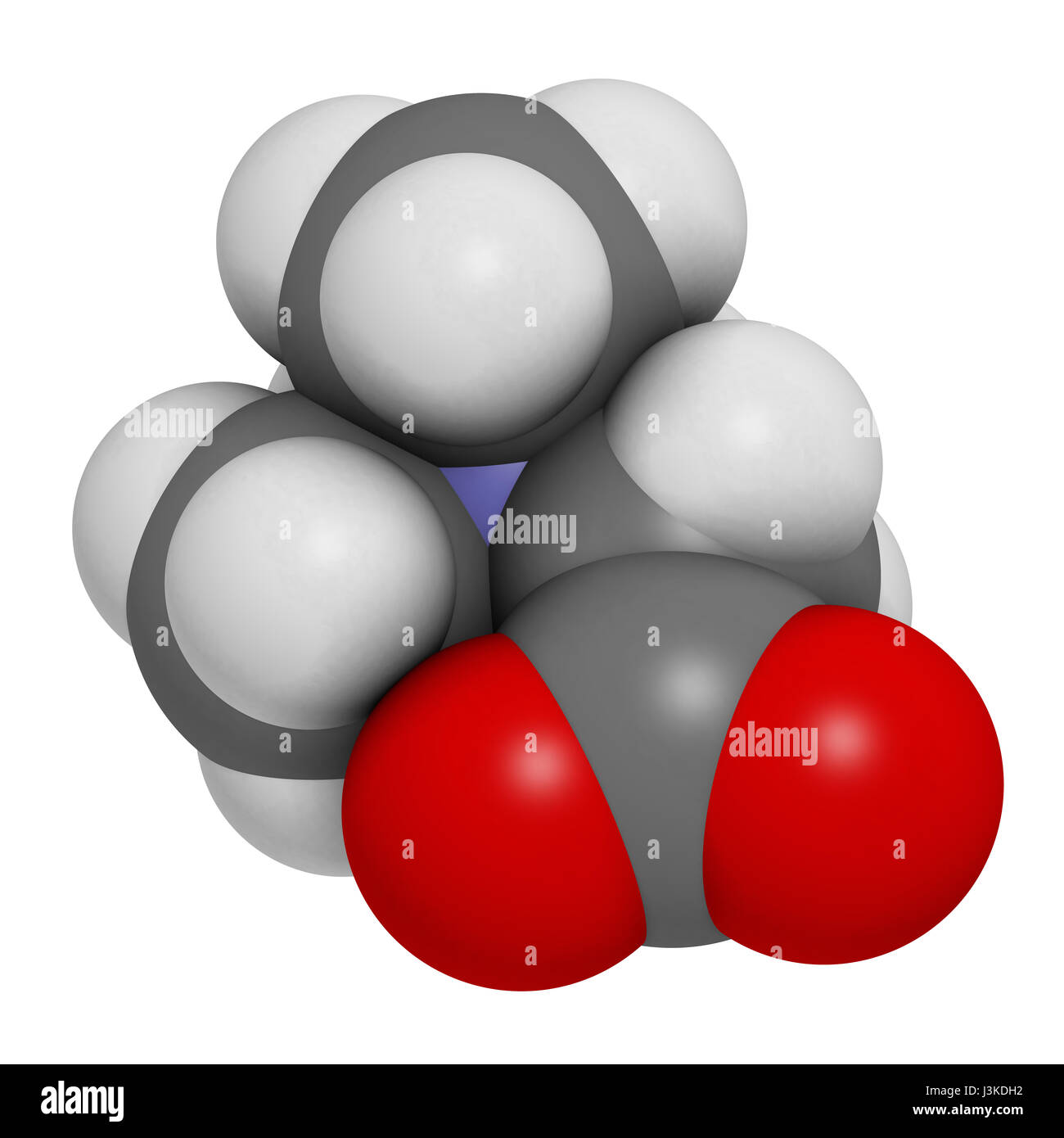 Betaine (glycine betaine, trimethylglycine) molecule. Originally found ...