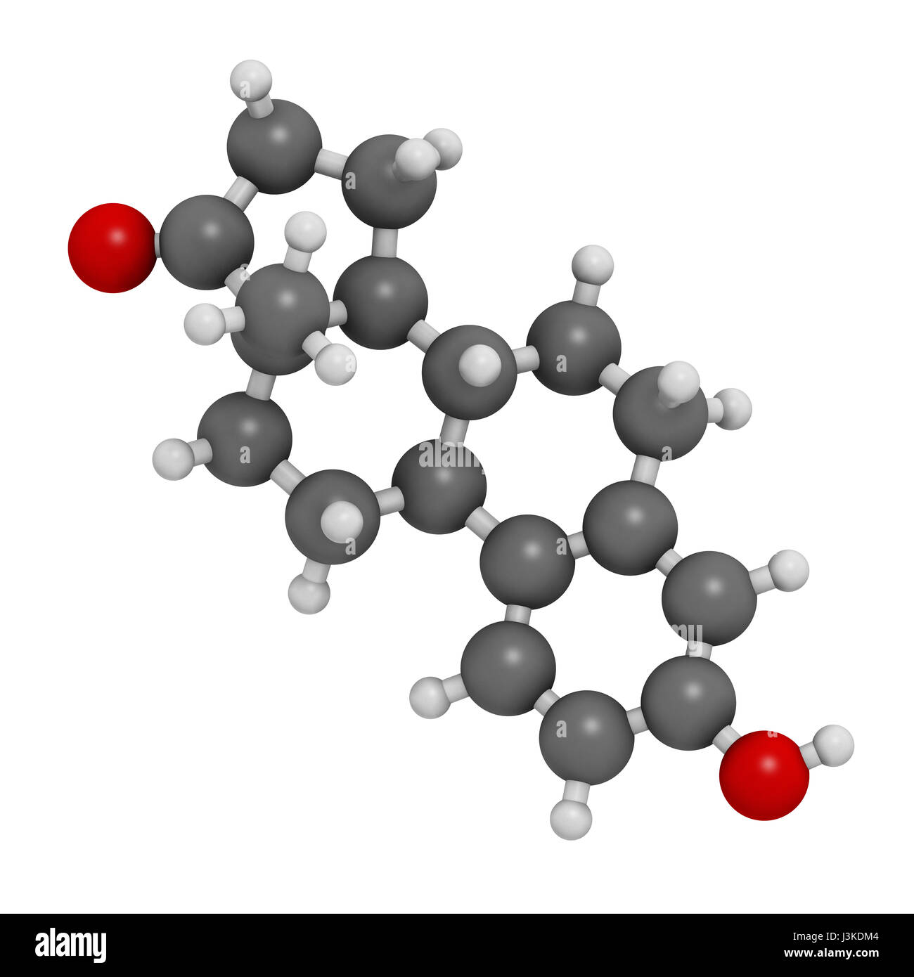 Estrone (oestrone) human estrogen hormone molecule. Atoms are ...