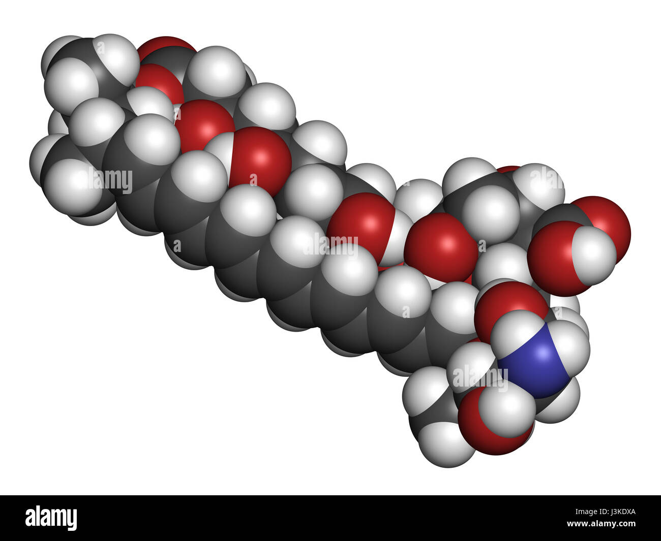 Amphotericin b hi-res stock photography and images - Alamy
