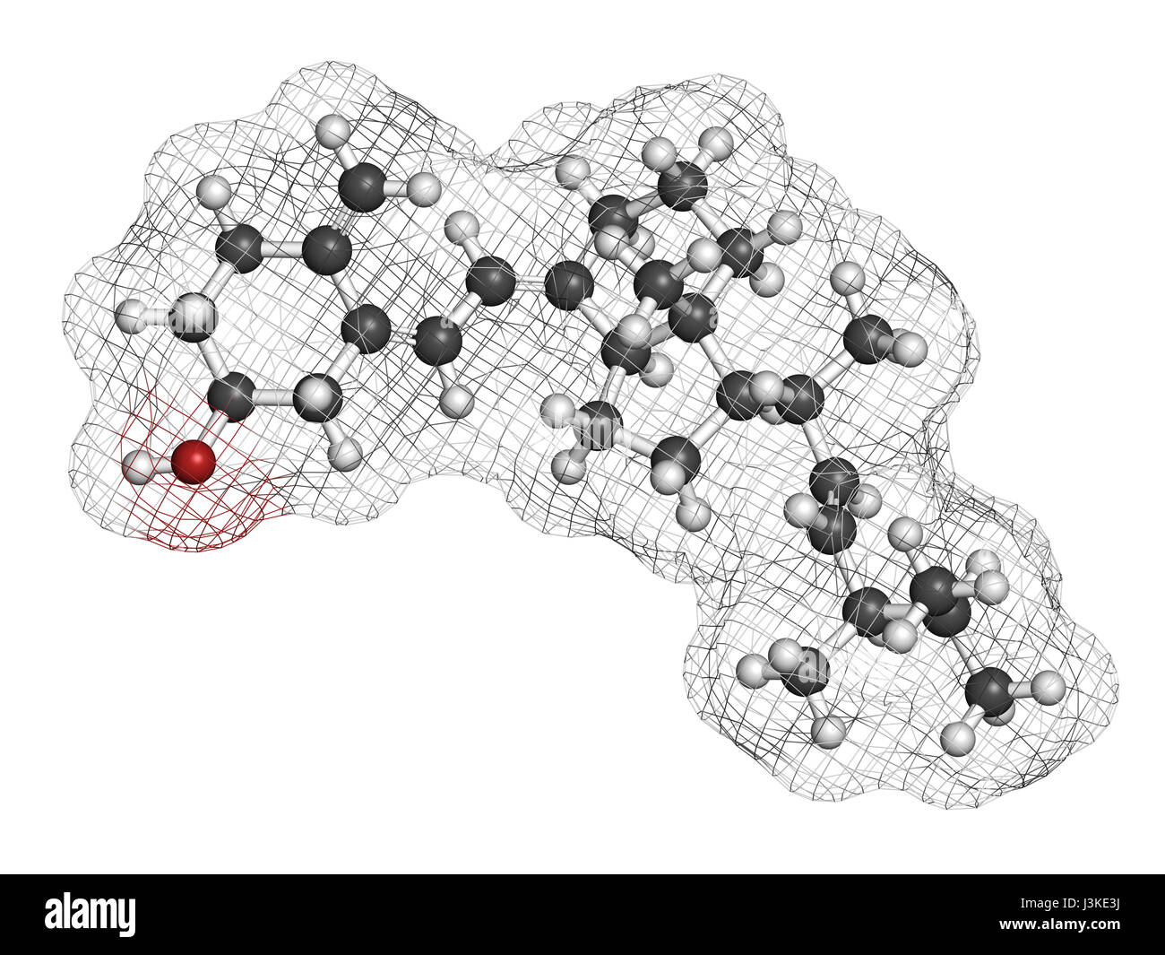 Ergocalciferol (vitamin D2) molecule. Atoms are represented as spheres ...