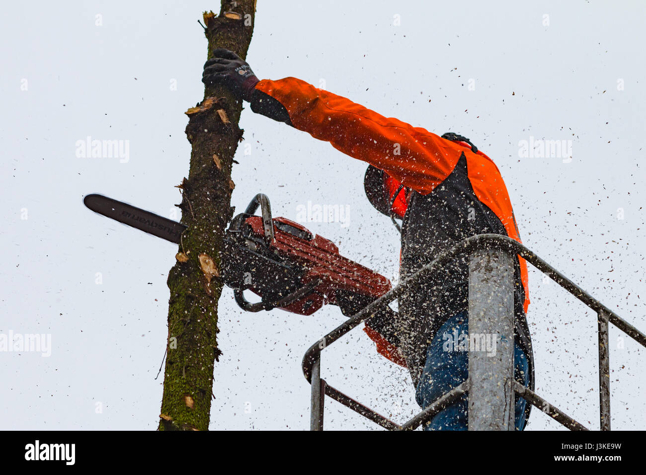 Woodcutter cutting tree with a chainsaw Stock Photo - Alamy