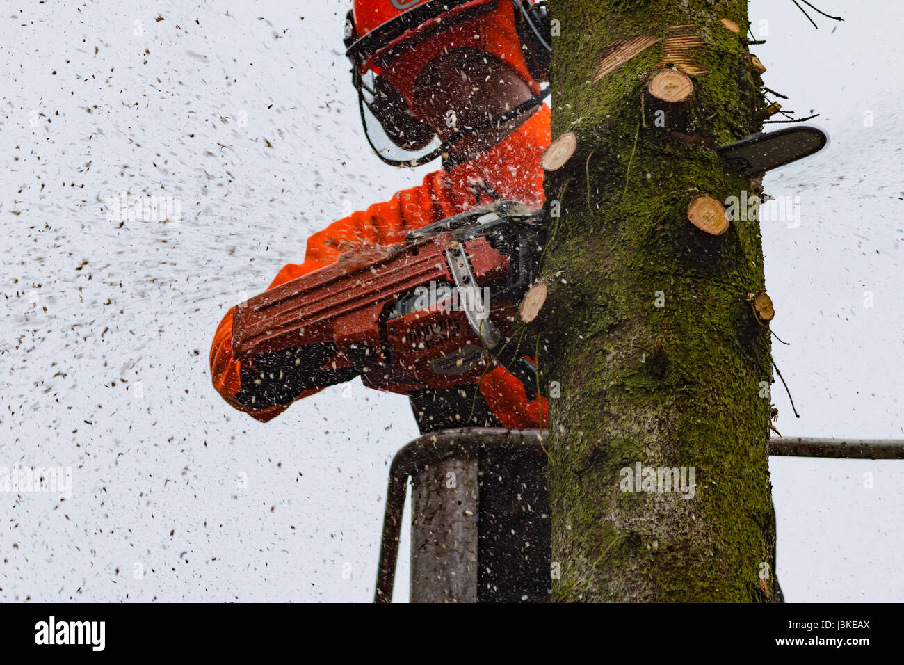 Tree cutting hi-res stock photography and images - Alamy