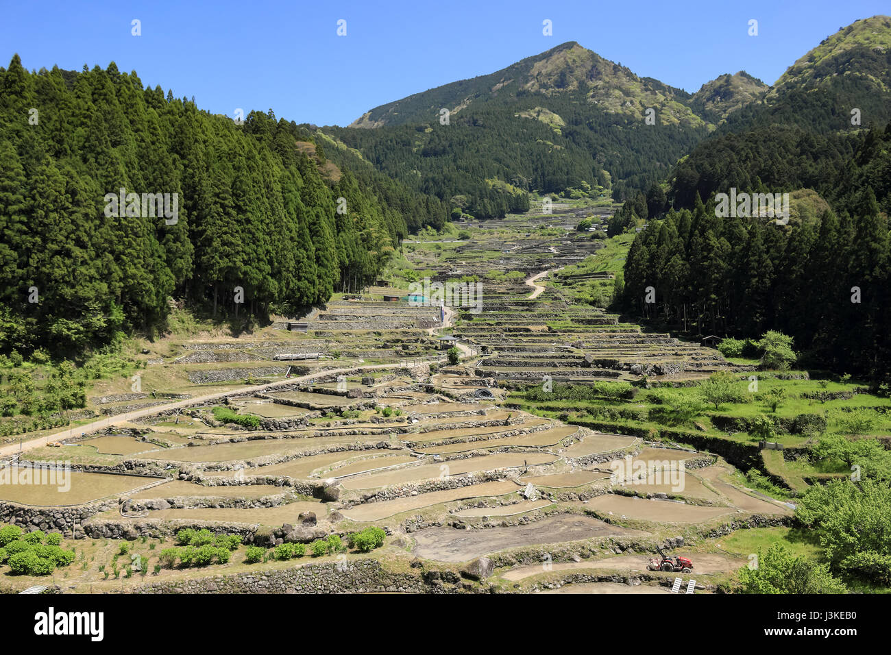 Yotsuya Rice Terrace of Shinshiro in Aichi, Japan Stock Photo - Alamy