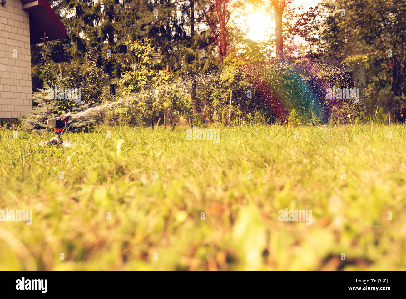 Water drops from sprinkler creates colorful rainbow Stock Photo - Alamy