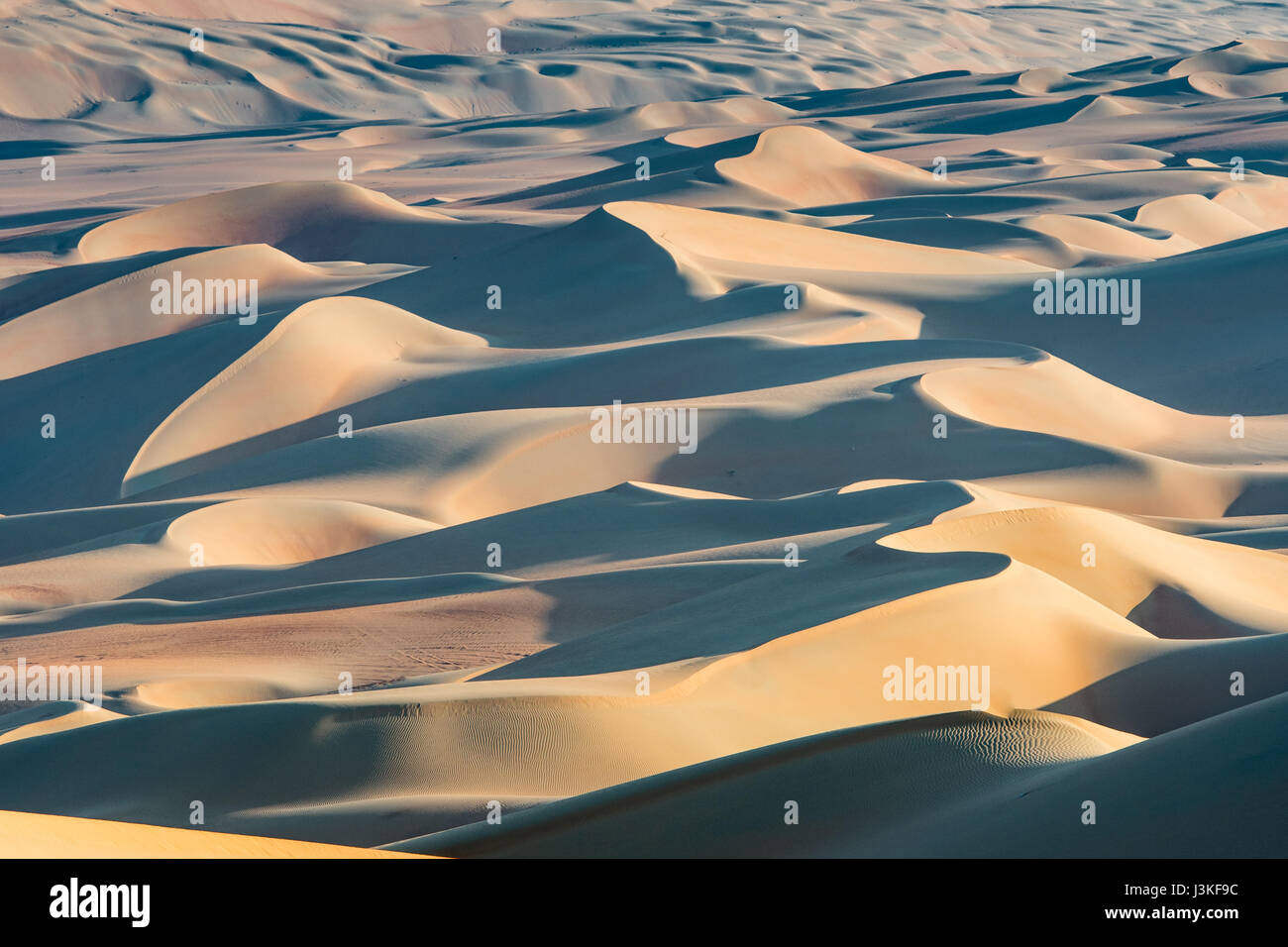 Liwa Oasis, Abu Dhabi , United Arab Emirates -i; vast number of sand ...