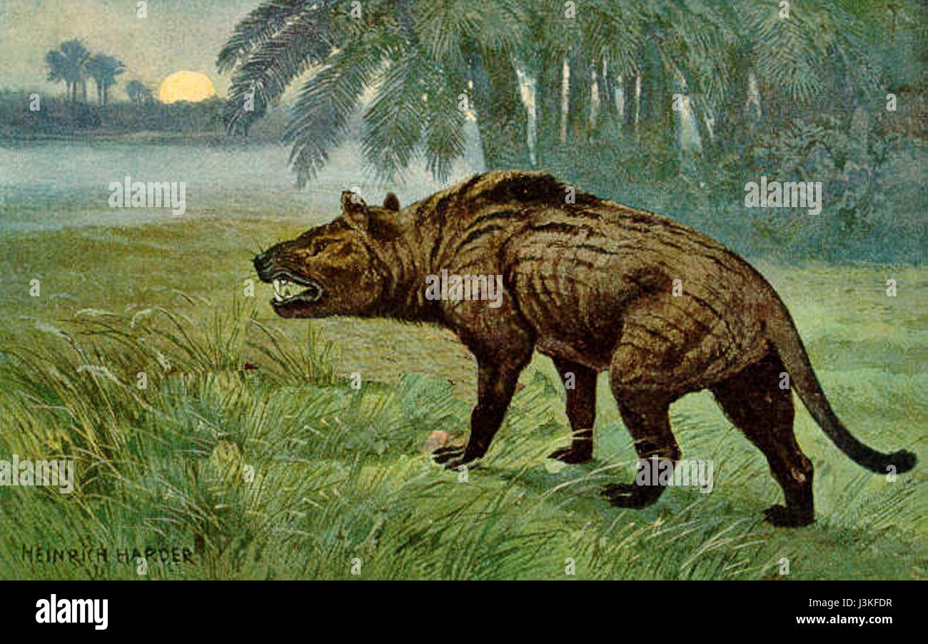 Hyaenodon is an extinct genus of carnivorous mammals that lived during ...