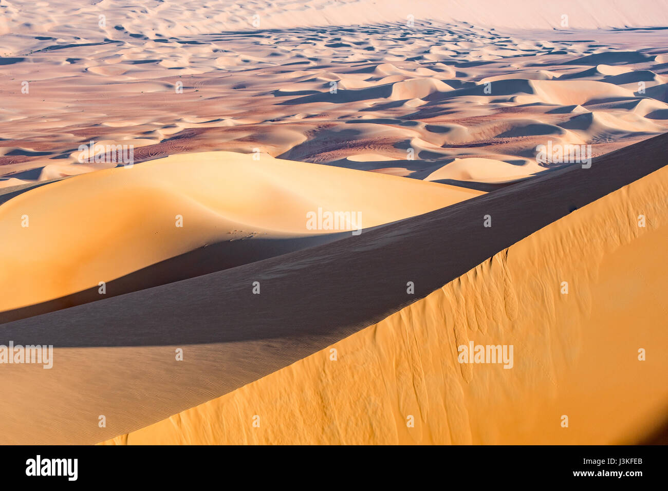 Liwa Oasis, Abu Dhabi , United Arab Emirates -i; vast number of sand ...