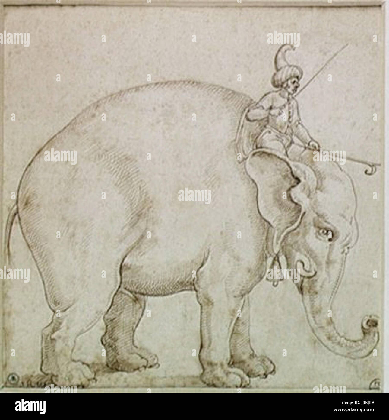 Hanno elephant hi-res stock photography and images - Alamy