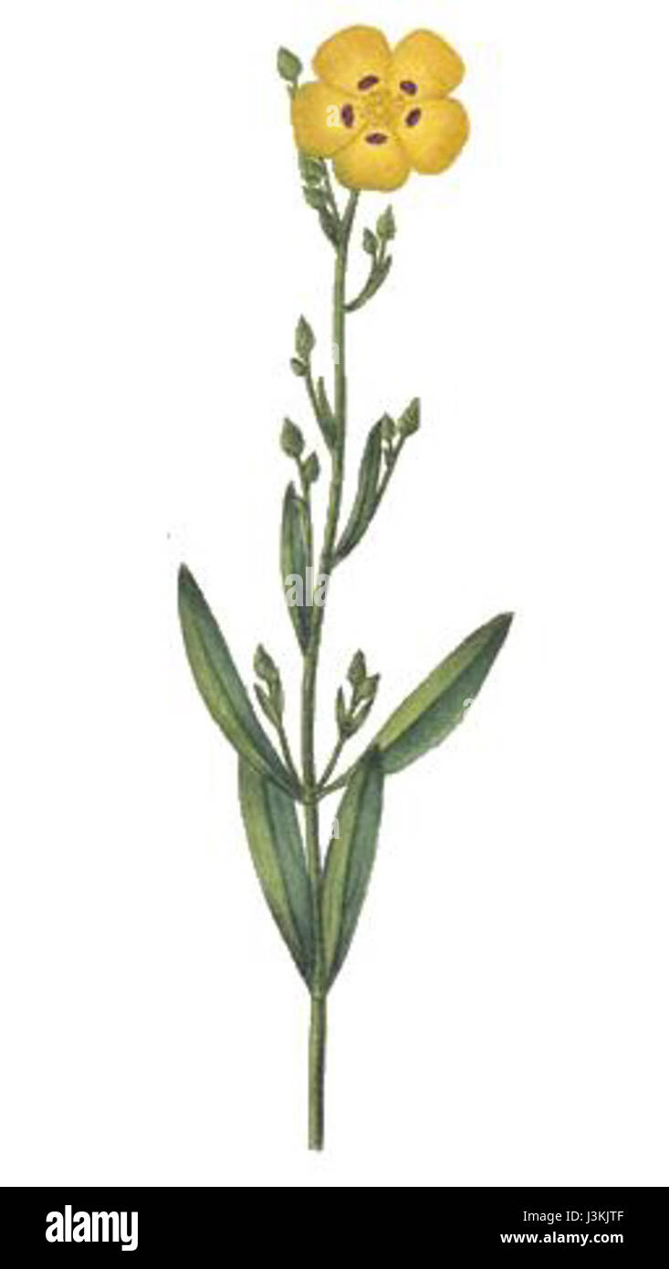 Regional health records Cut Out Stock Images & Pictures - Alamy