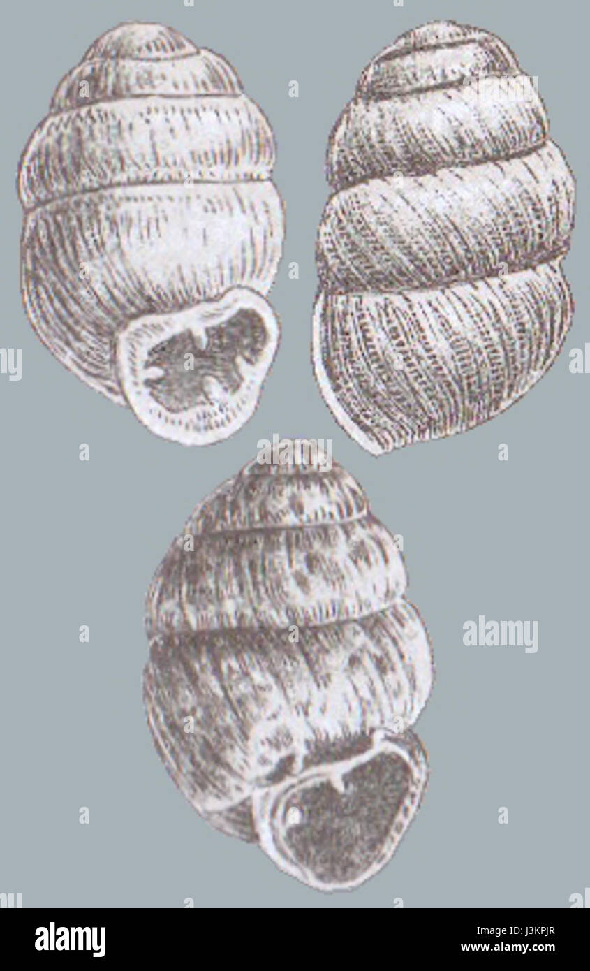 Geyeri hi-res stock photography and images - Alamy