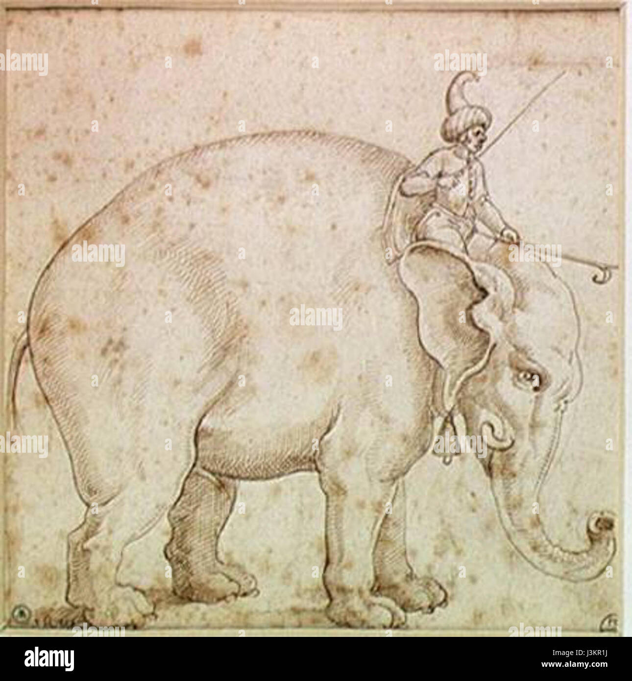 Hanno the elephant hi-res stock photography and images - Alamy