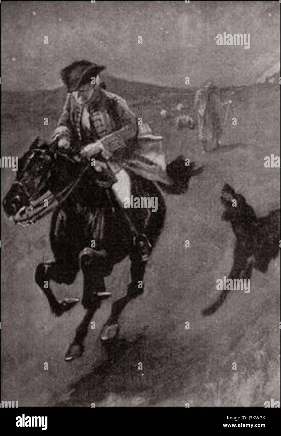 Houn hi-res stock photography and images - Alamy