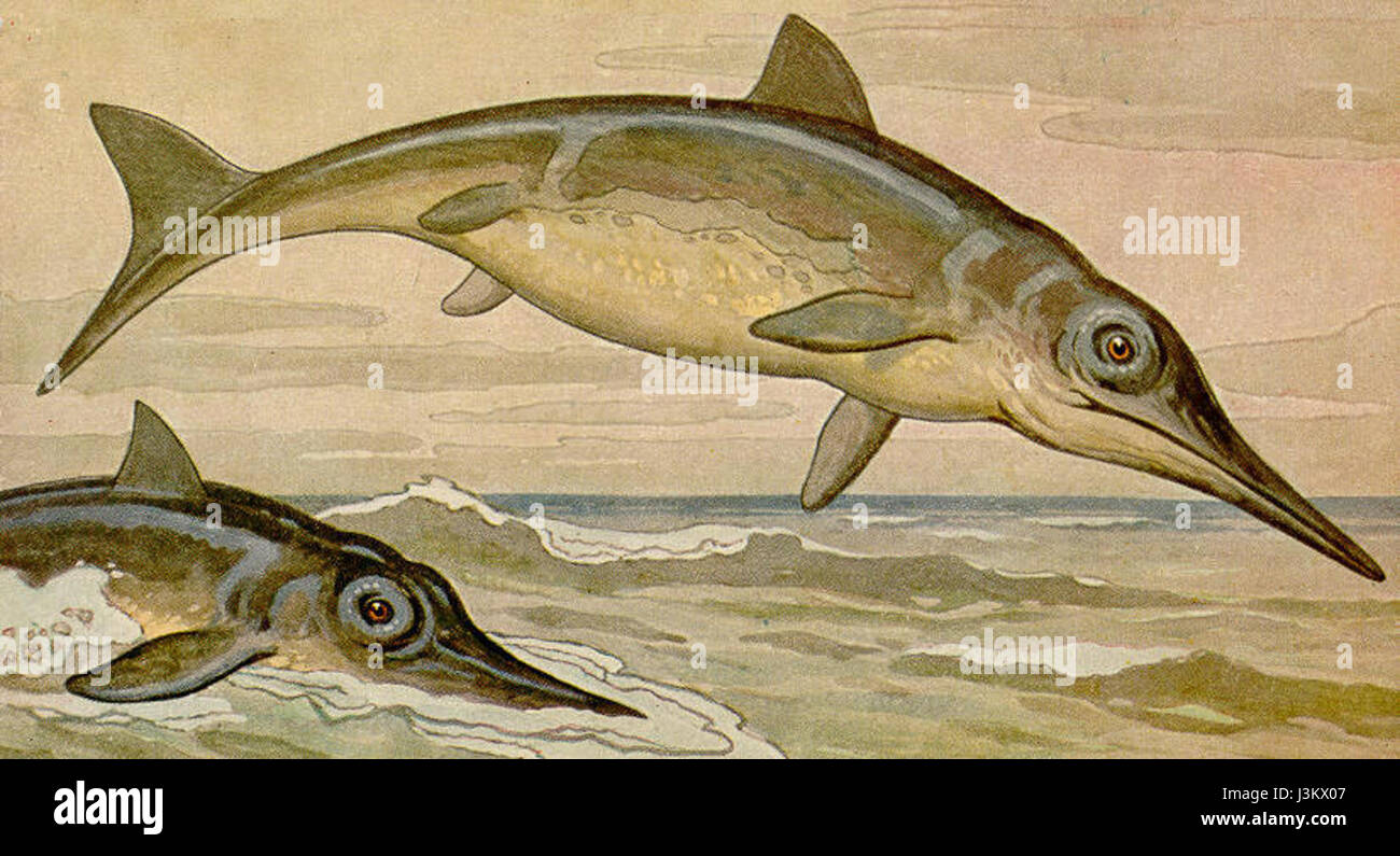 H harder hi-res stock photography and images - Alamy