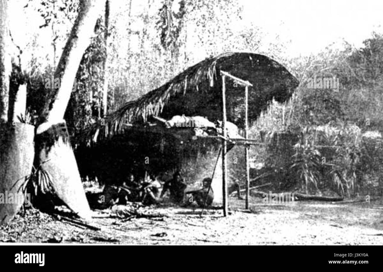 A photograph or illustration of a Great Andamanese hut from the 1890s ...