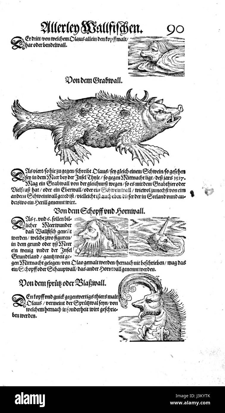 Prominent fish species Black and White Stock Photos & Images - Alamy