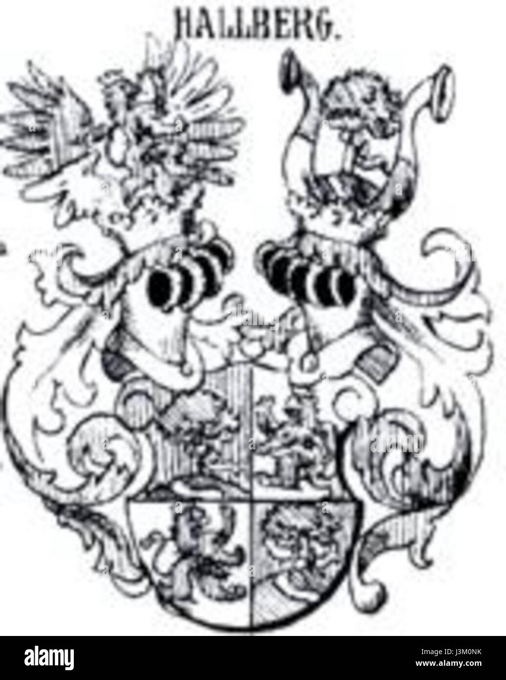 This refers to a small illustration of the coat of arms of Graf ...