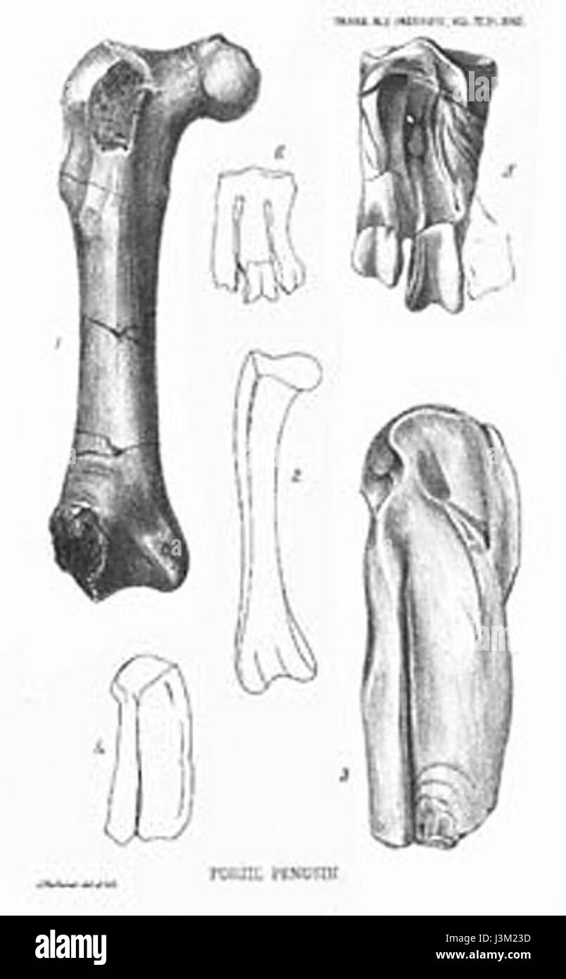 Map of hector Cut Out Stock Images & Pictures - Alamy