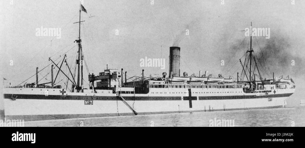 HMHS Drina was a British hospital ship during World War I. It served in ...