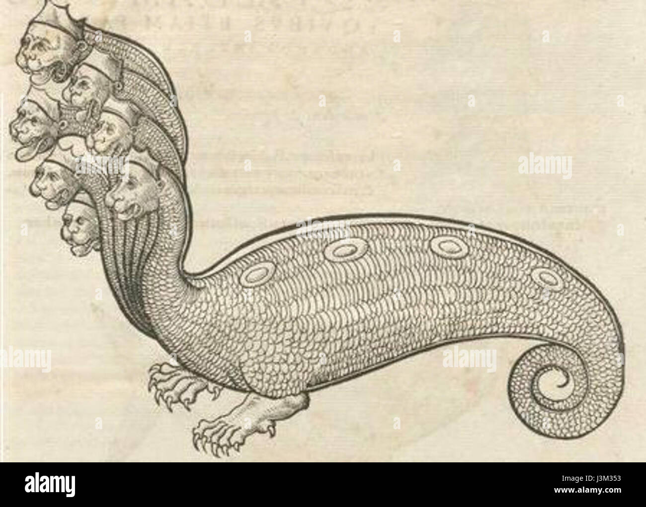 Hydre High Resolution Stock Photography and Images - Alamy