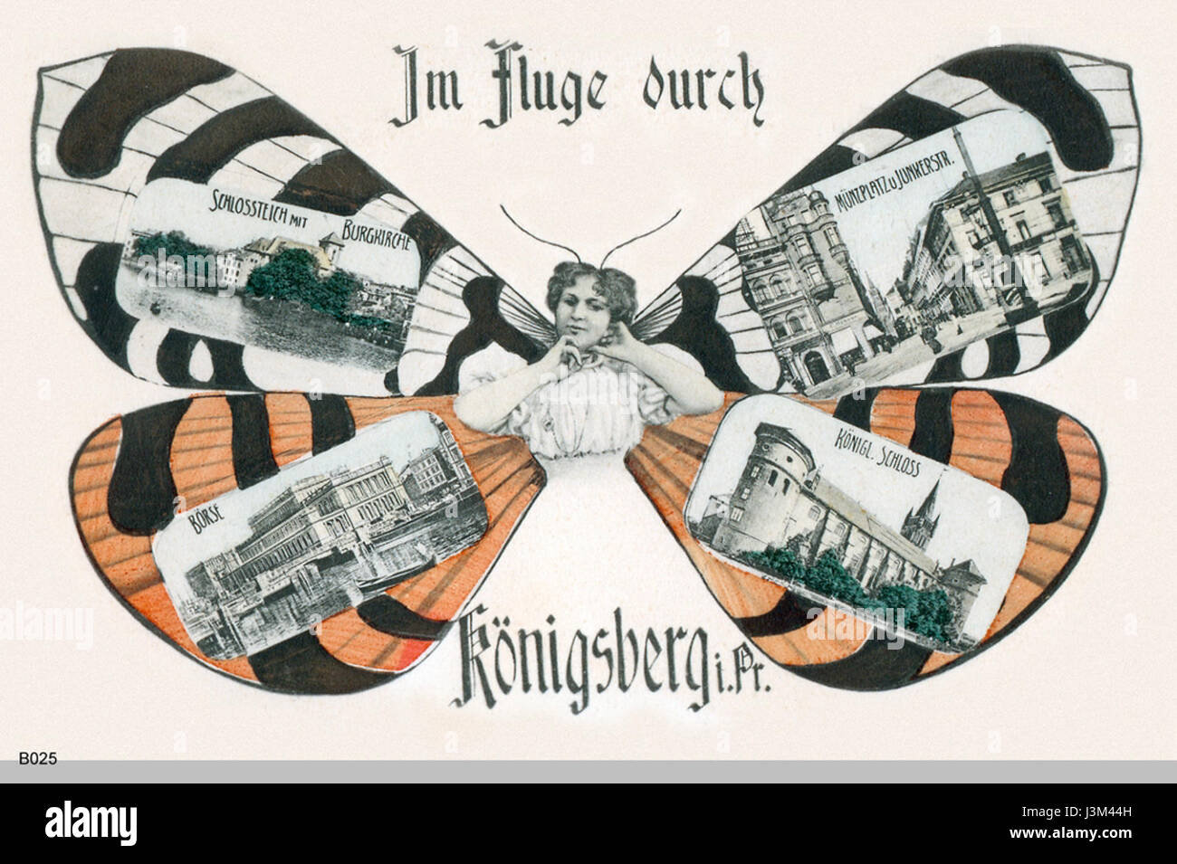 This illustrated map, identified as ID003591 B025, features detailed ...