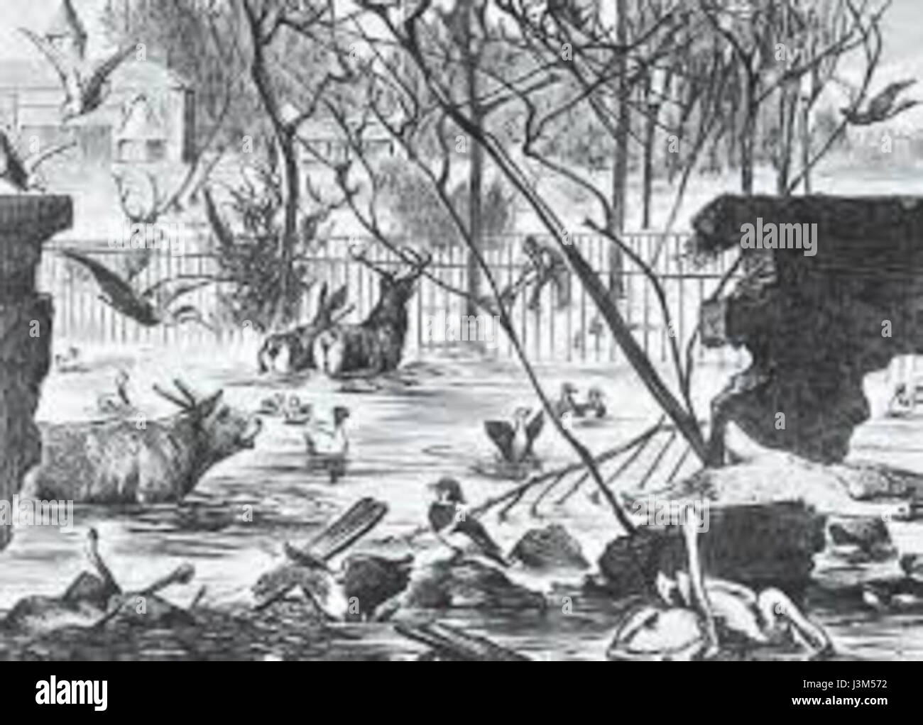 The 1882 flood in Cologne (KÃ¶ln), Germany, was a significant natural ...