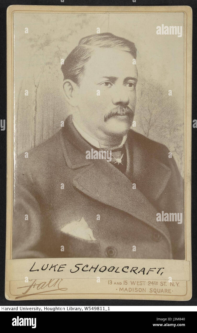 Schoolcraft map hi-res stock photography and images - Alamy