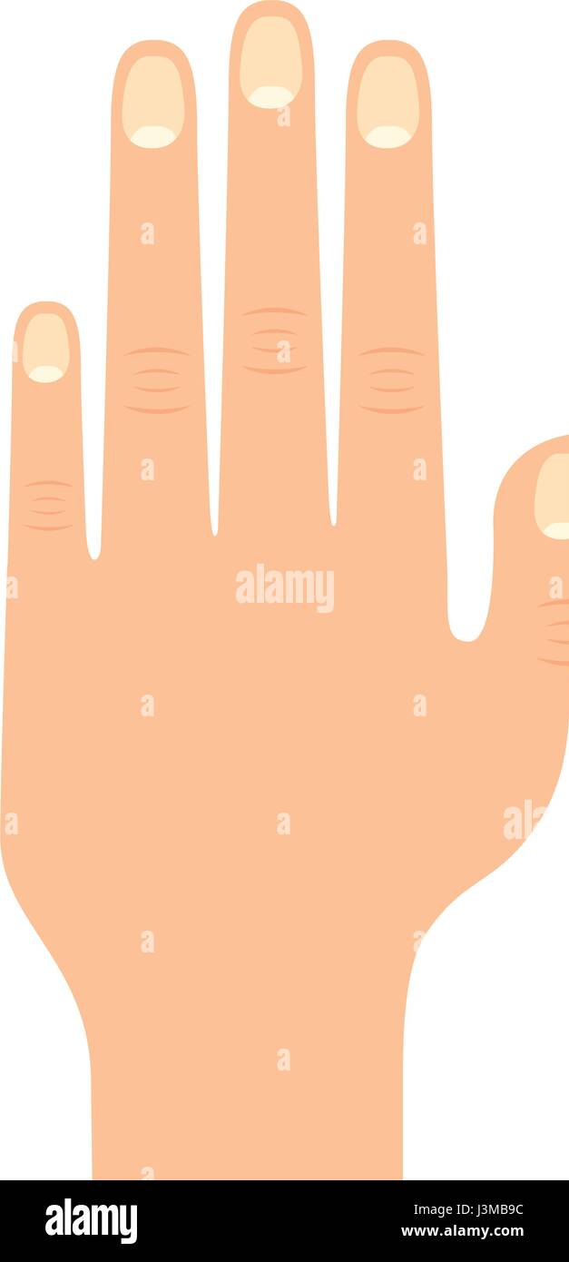 hand human up isolated icon Stock Vector Image & Art - Alamy
