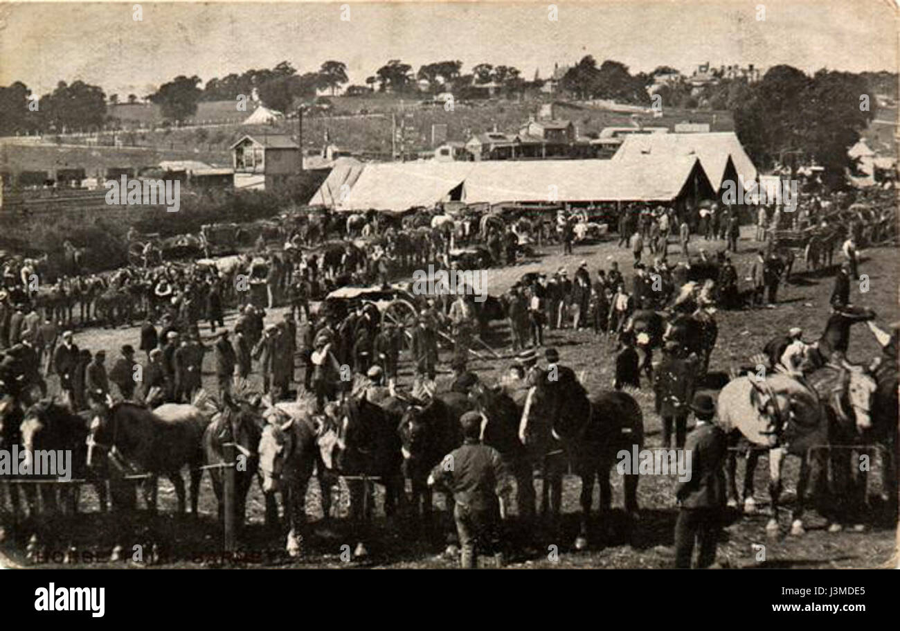The Horse Fair in Barnet, England, is a historical event known for its ...
