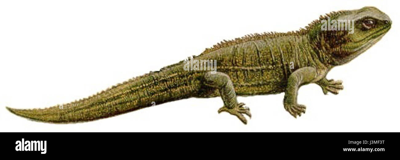 Has over 200 Cut Out Stock Images & Pictures - Alamy