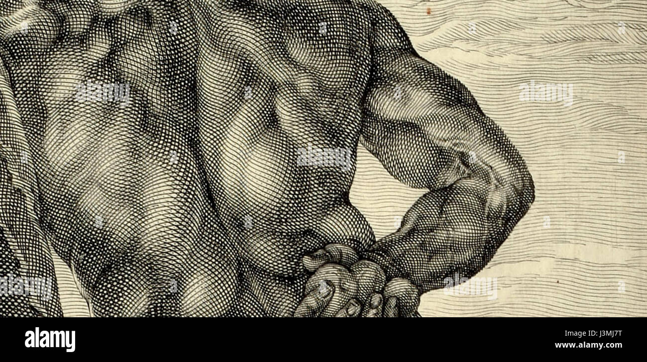 Hendrik goltzius hi-res stock photography and images - Alamy