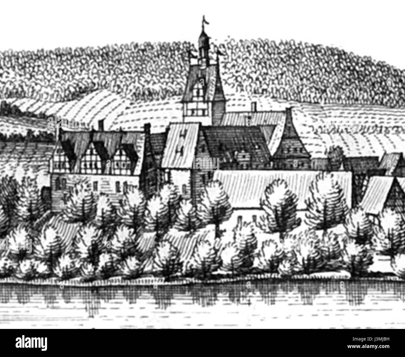 Gronde Merian cropped Stock Photo - Alamy