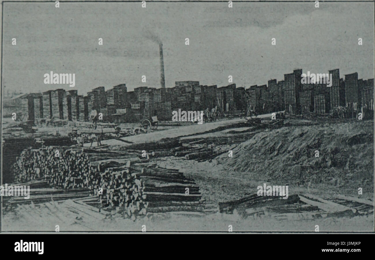 Hayon hi-res stock photography and images - Alamy