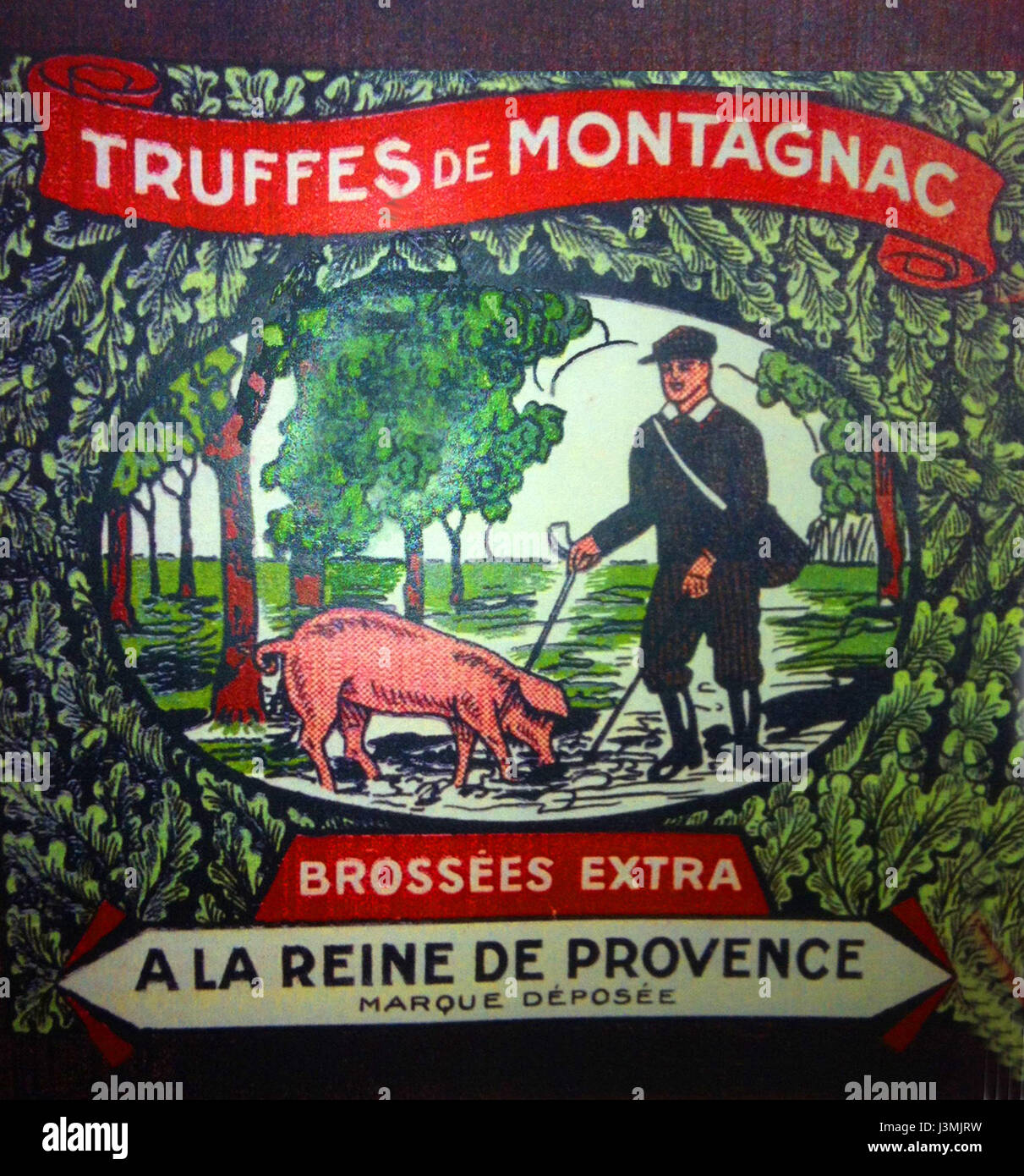 A reference to the truffles from Haute Provence, specifically from ...