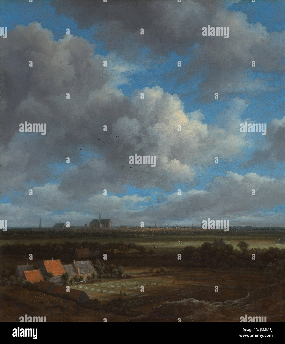 This 17th-century painting shows a view of Haarlem from the northwest ...