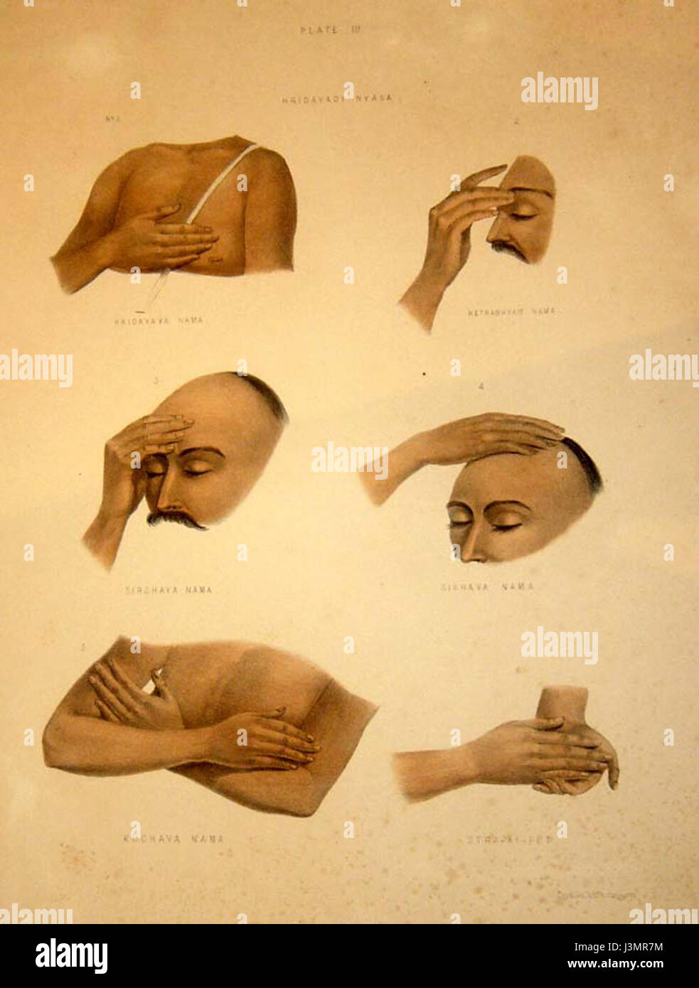 The image titled 'Handsigns4' refers to a depiction or study of various ...