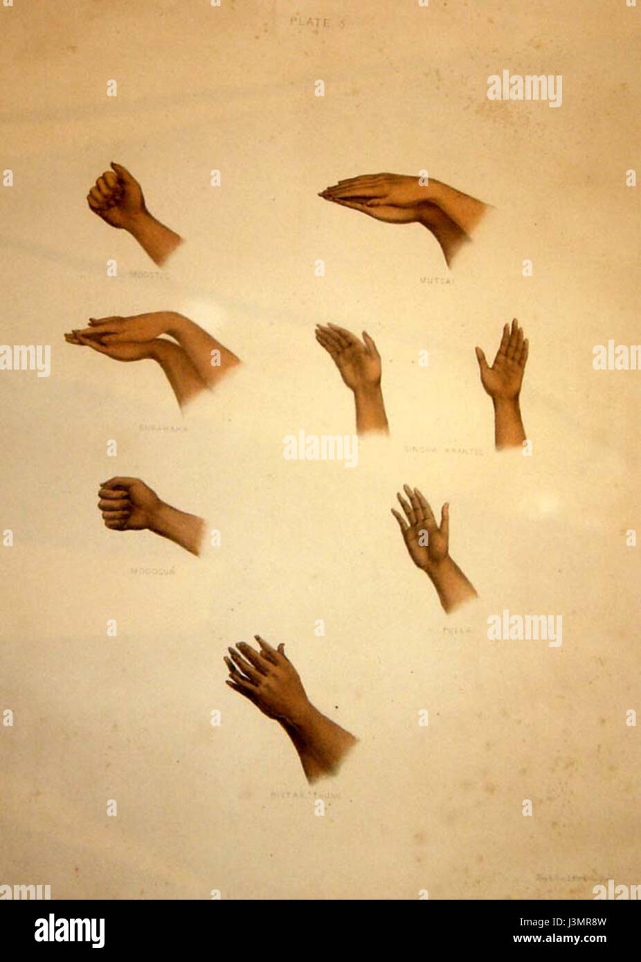 Emotions communication tools hi-res stock photography and images - Alamy