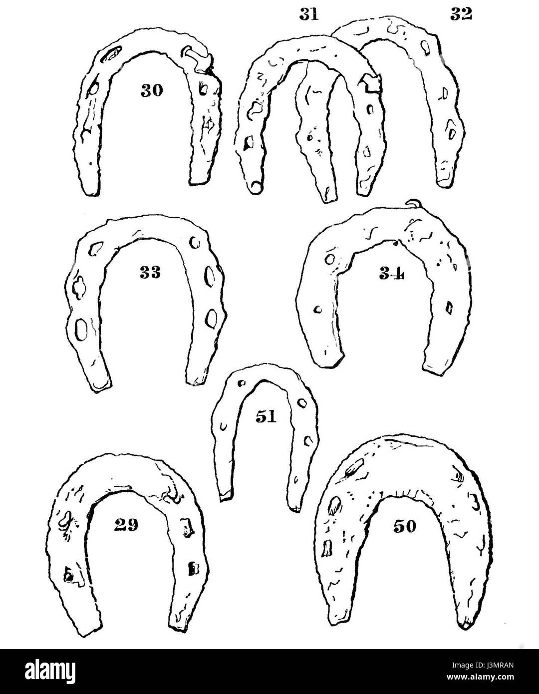 Horse management history Cut Out Stock Images & Pictures - Alamy