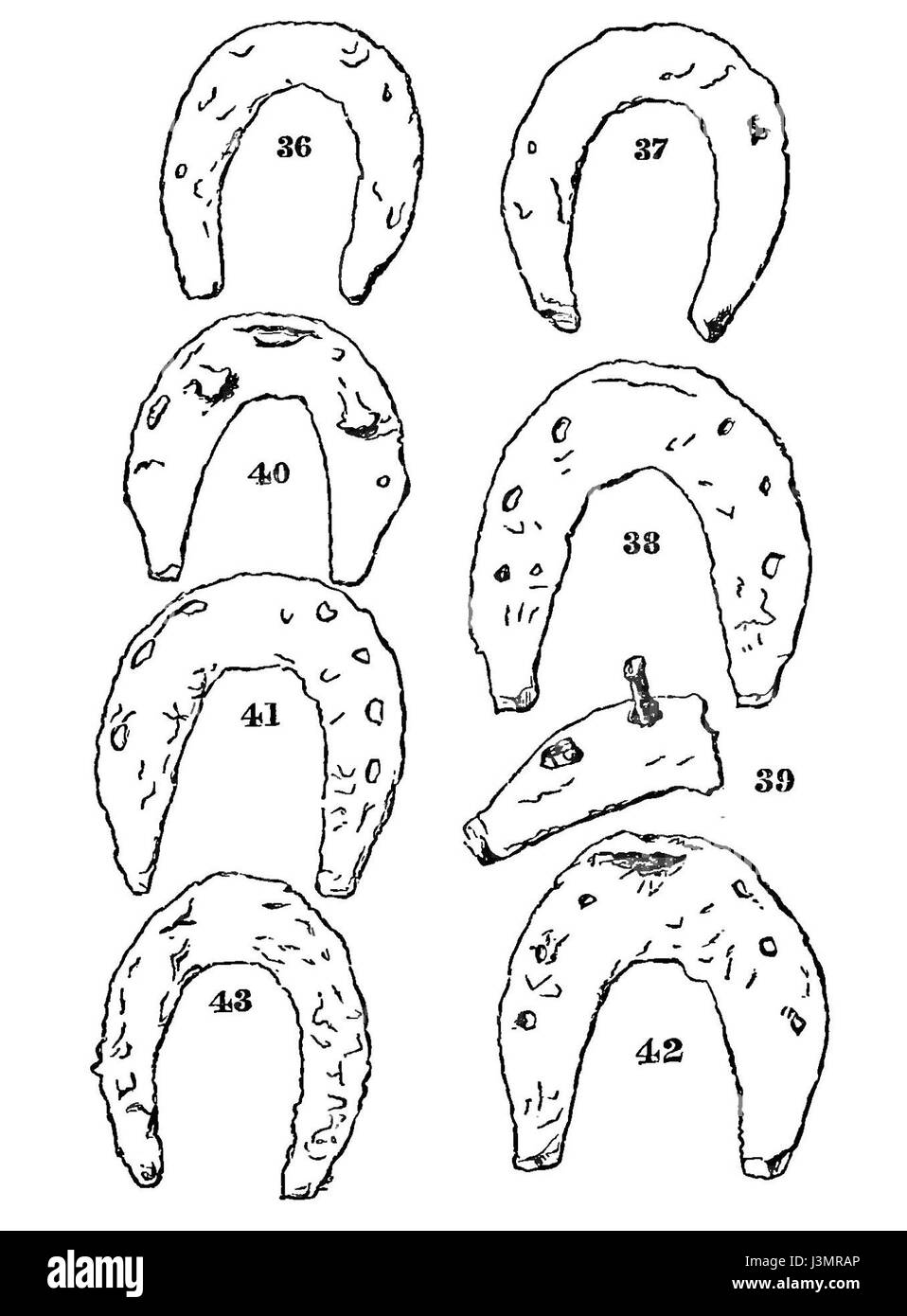 Equine hoof care Cut Out Stock Images & Pictures - Alamy