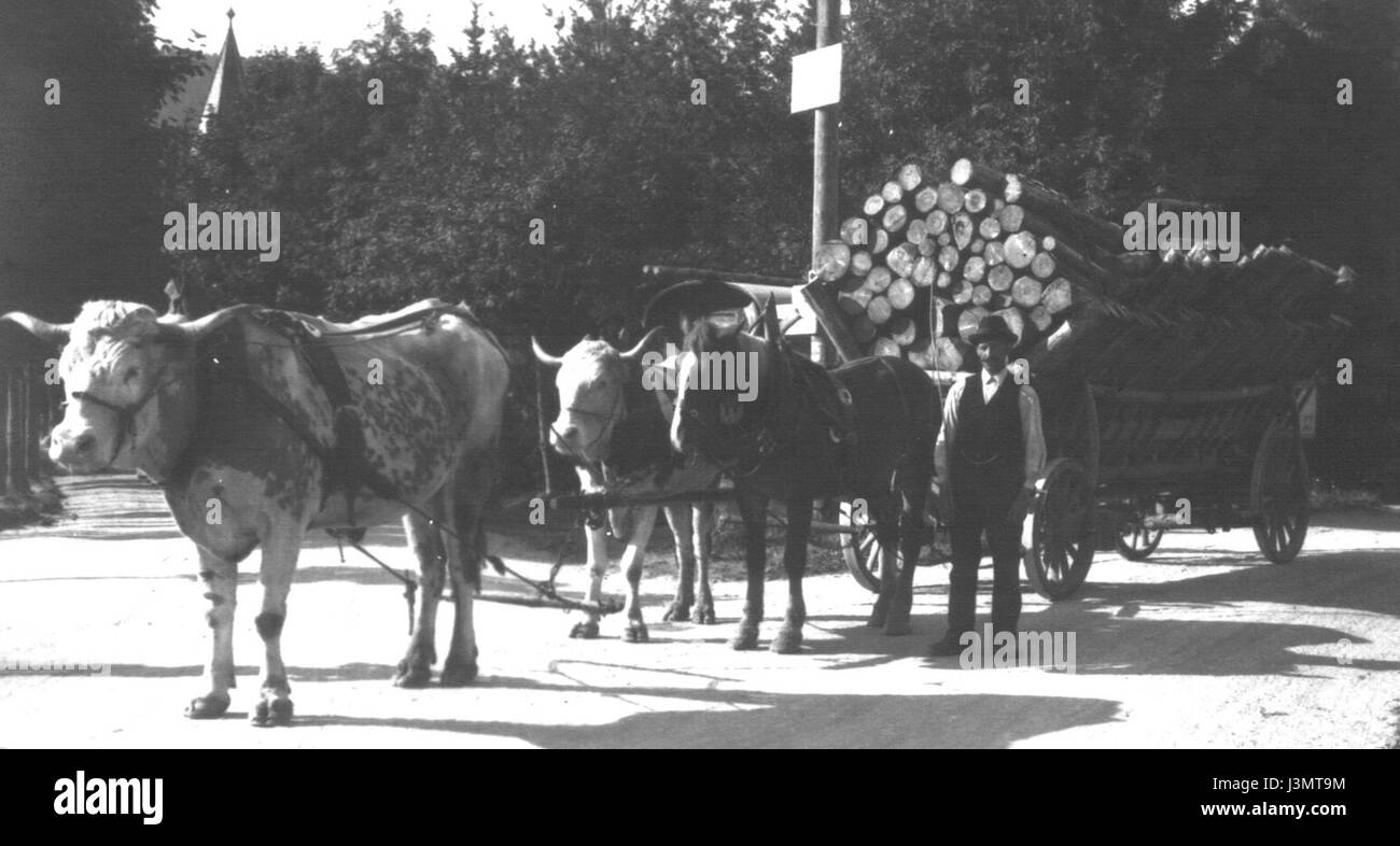 A wooden wagon (Holzwagen) from around 1924, representing early 20th ...