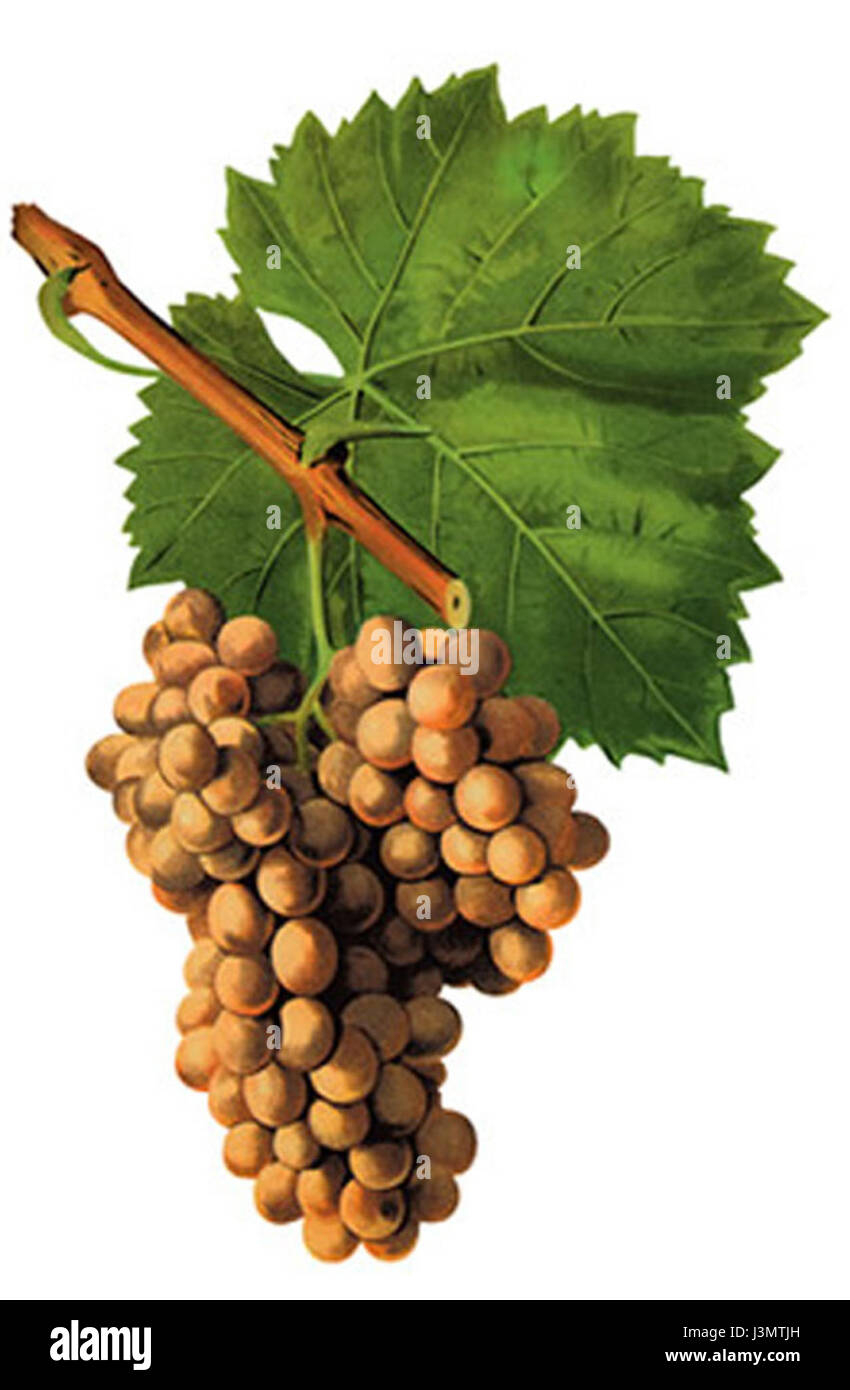 B france Cut Out Stock Images & Pictures - Alamy