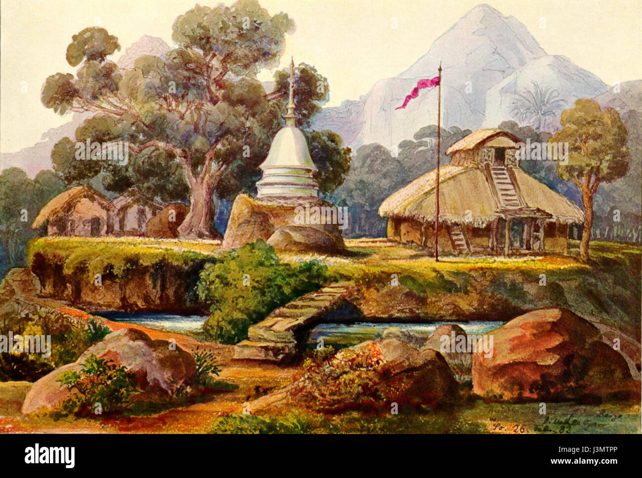 This image by Ernst Haeckel, a German biologist and artist, features ...